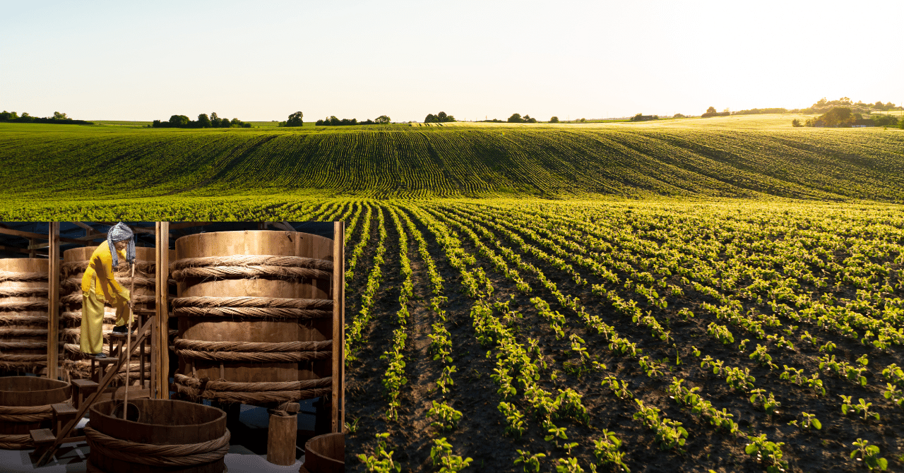 Hayatoと共に｜note