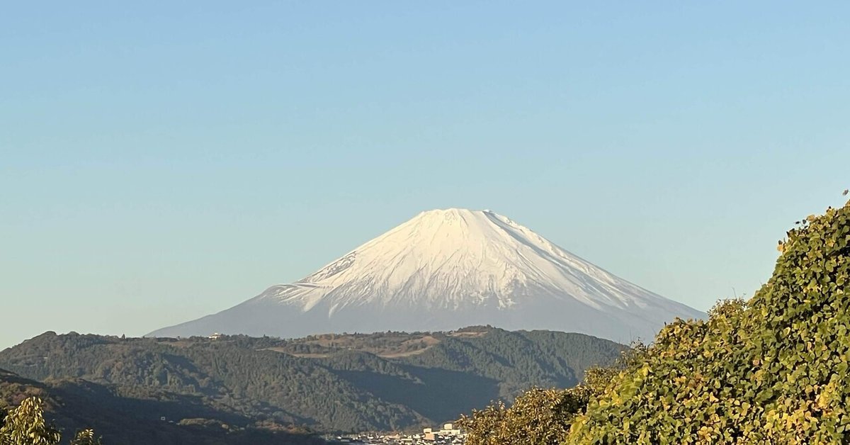 DAY 87 風、強っ！｜jucon110