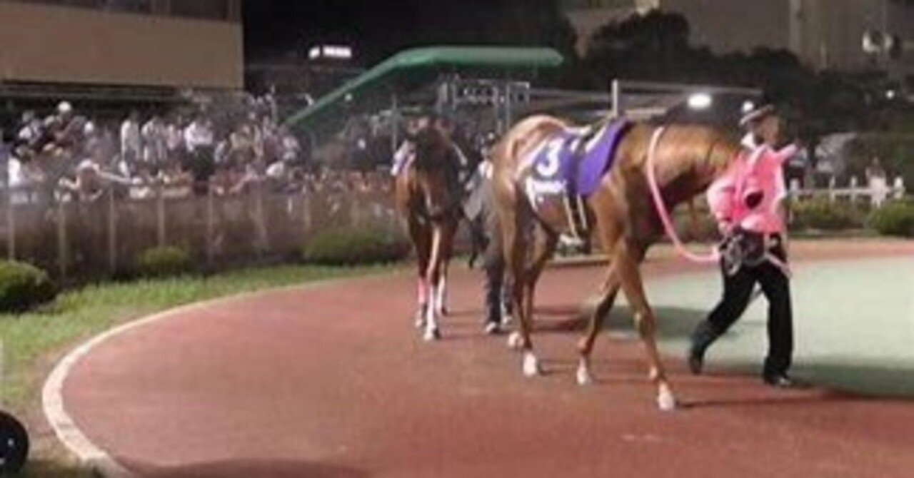 船橋競馬【🔥👊🏇激熱ss勝負レース🏇👊】【船橋11r】チバテレ盃(準重賞)(発走時刻2010)|さやだま