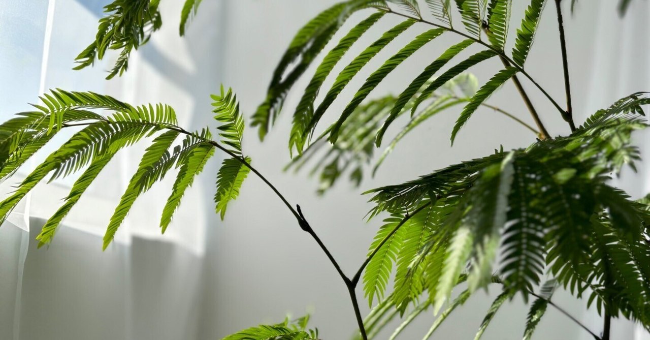 リラクゼーションサロン開業への思い｜halun