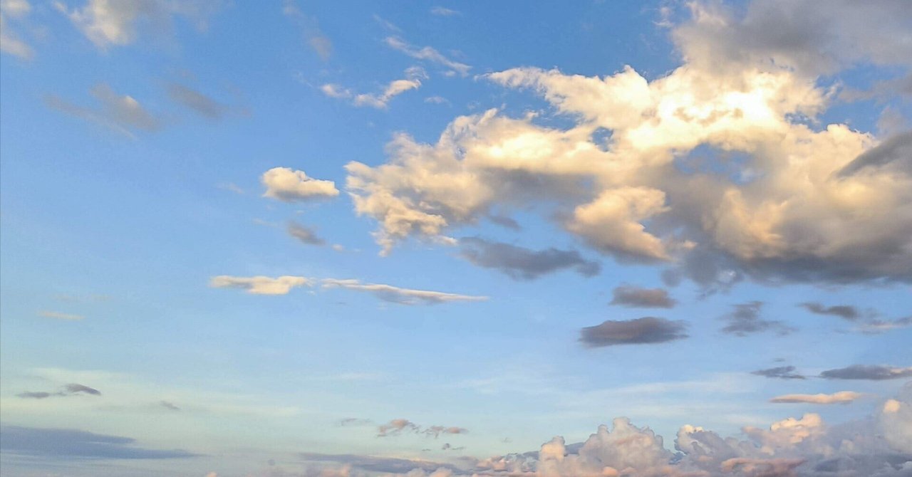 全国スポーツ大会の改編；インターハイ・その2｜Nobuo Watanabe