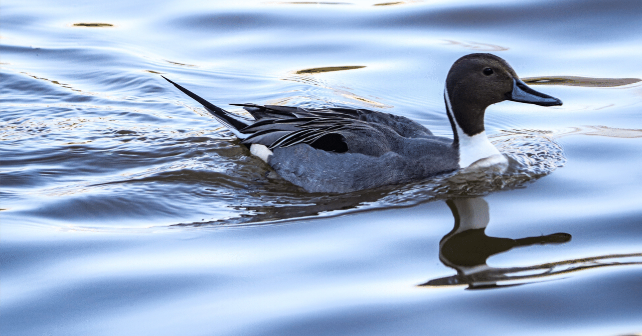 冬の楽しみ｜daichi.402