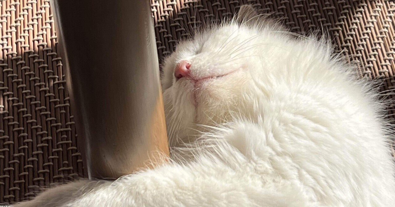 『安心』が与える心の影響｜junko.resta /思考を理解して人生の舵をとる