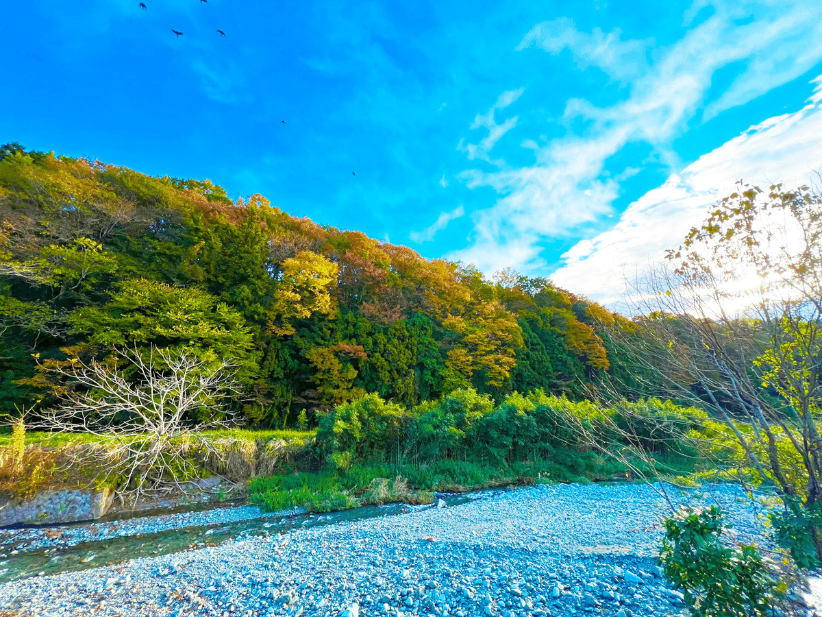 DAY 88 あちこち痛いけど｜jucon110