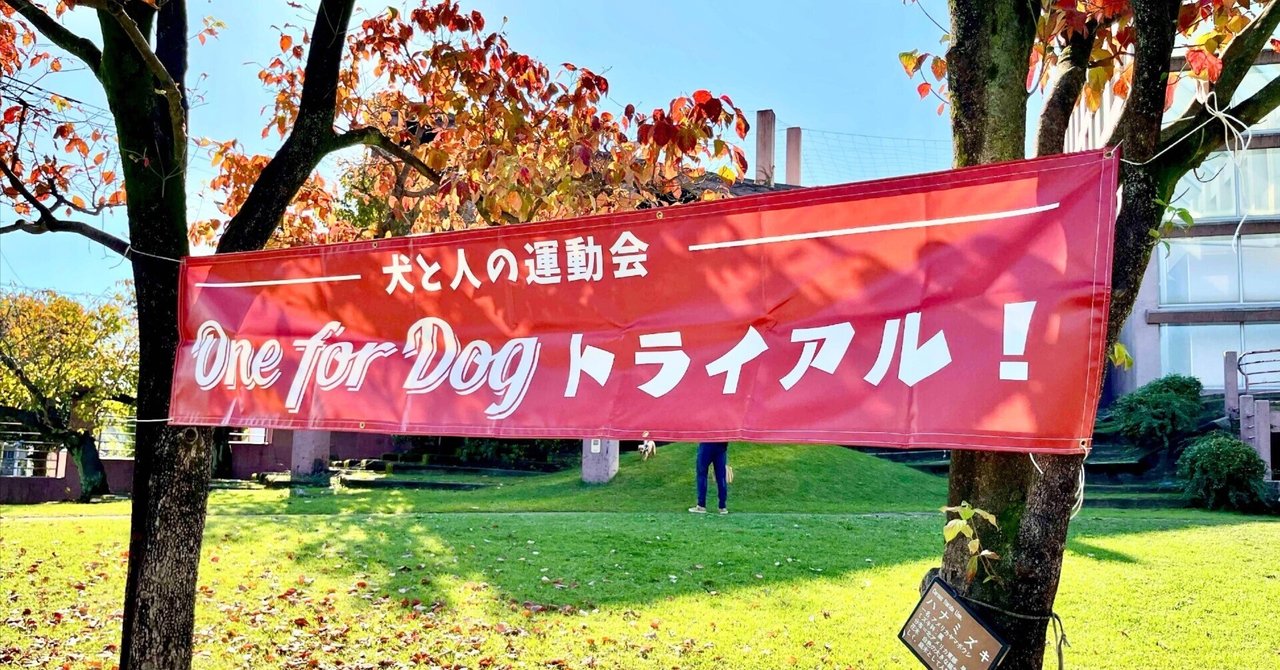 【愛犬文化フェス2024レポート】犬と人の運動会編｜飼い主さんのためのお教室丨One for Dog