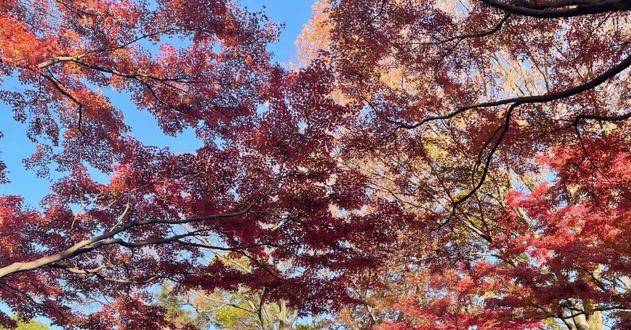 「アイドルネッサンス」という存在｜サ