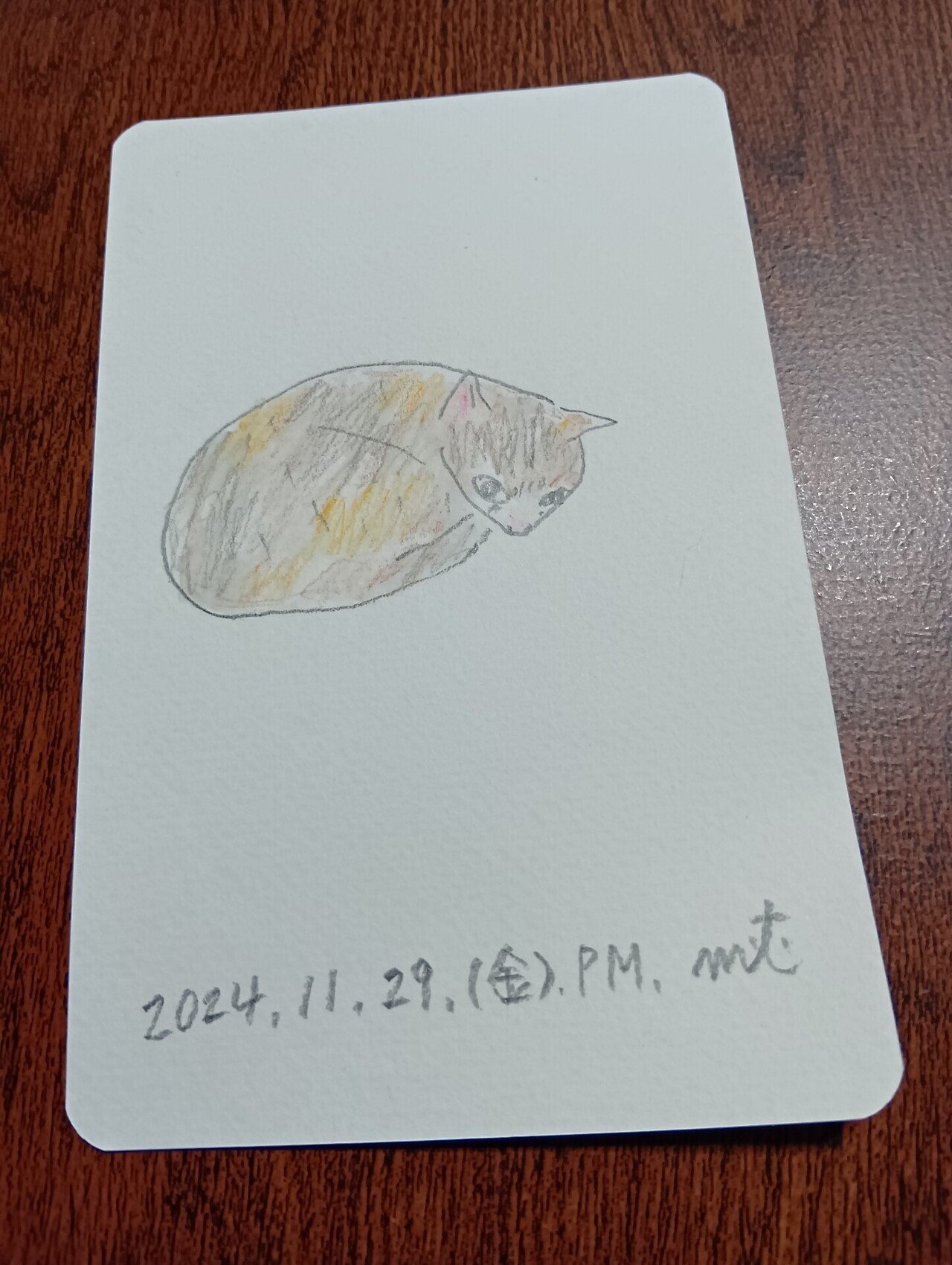 miyukitty日記2024NO16｜miyukitty