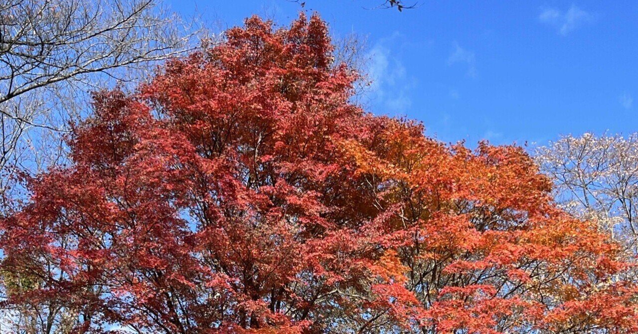 幼なじみのK君に、50年ぶりに会って｜Uchan