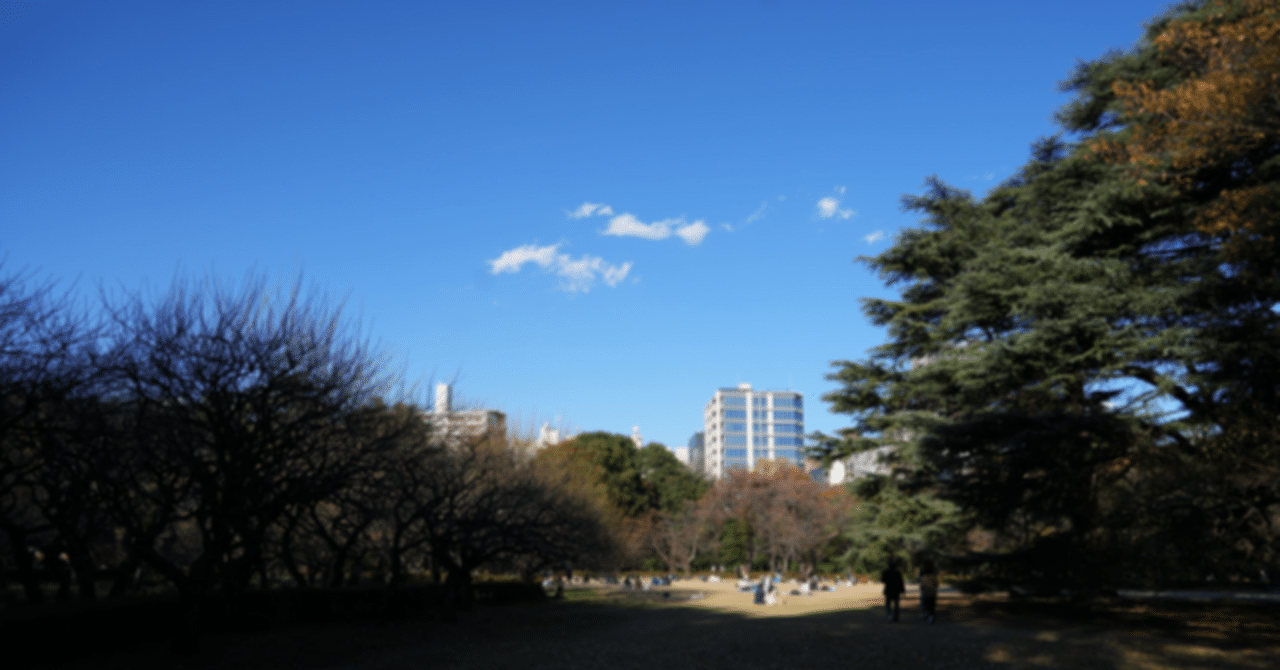 2024年 新宿御苑 秋｜a2pro