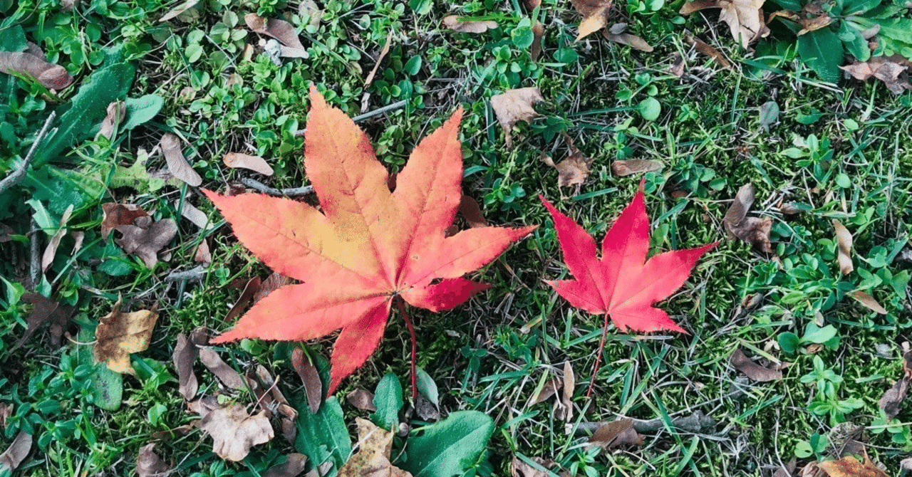 ありがとうと祈りとここから☆2024｜花音英菜