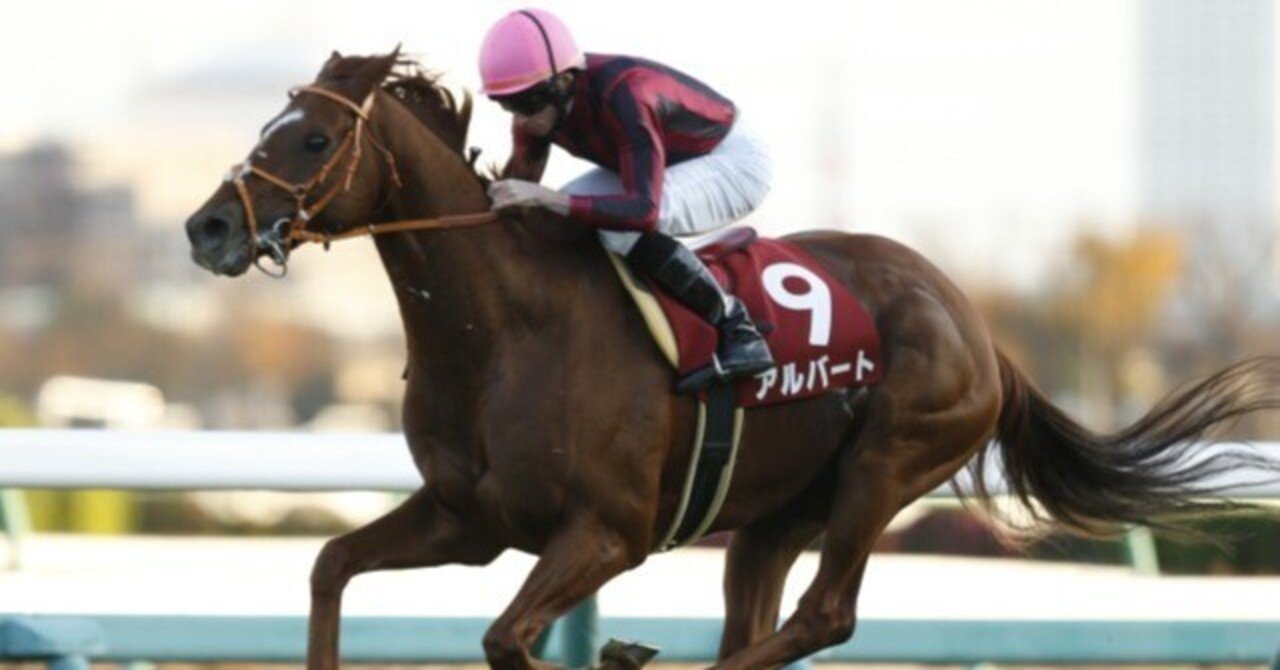 11/30(土)中山11R 15:45発走 ステイヤーズS👑｜単複の天ちゃん