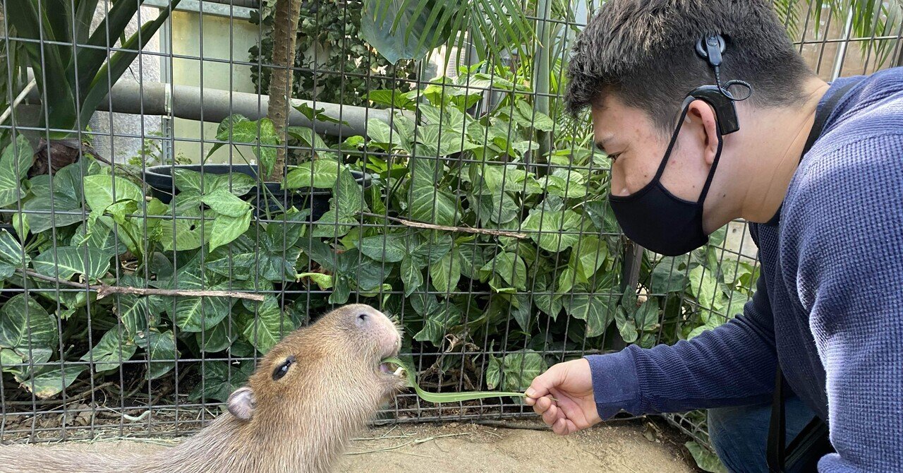 #5 ユガミの聴覚障害のこと2｜Masateru Yugami