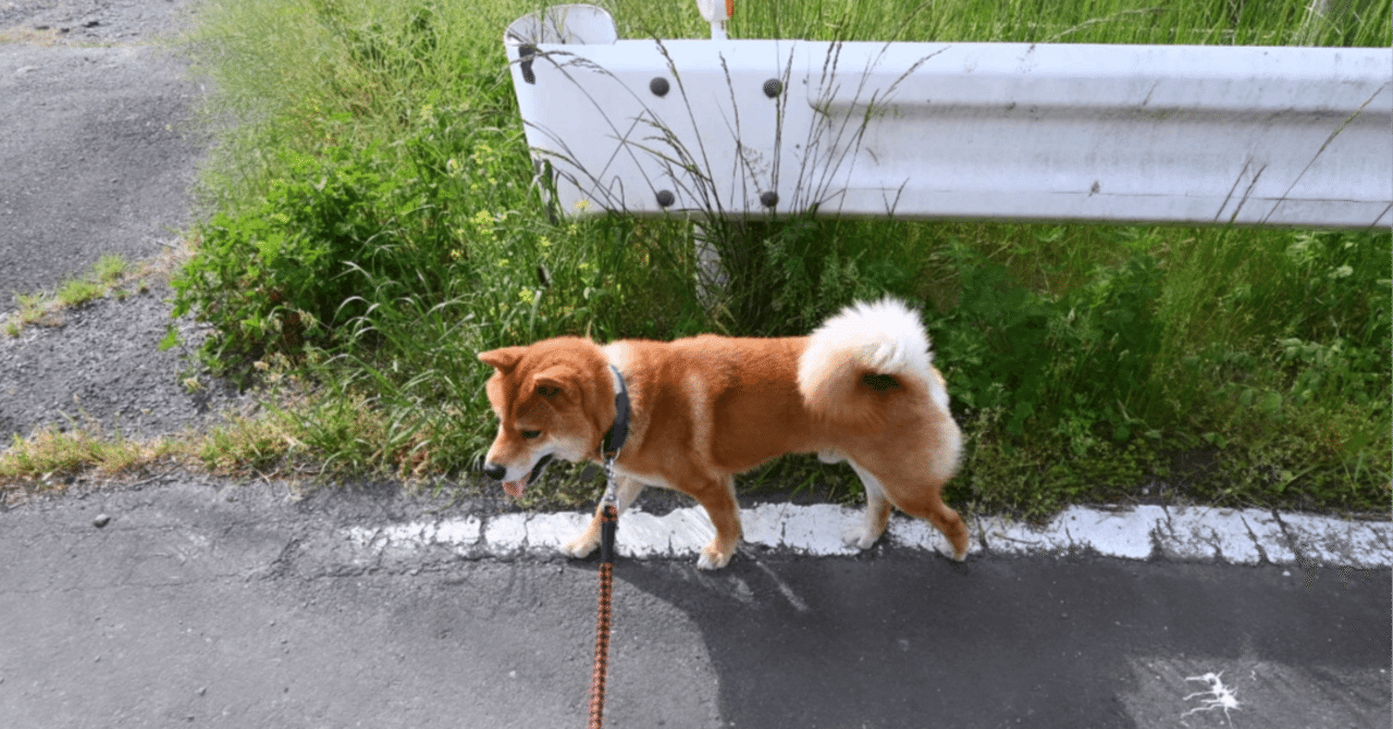 クレブリュレーム｜furuko