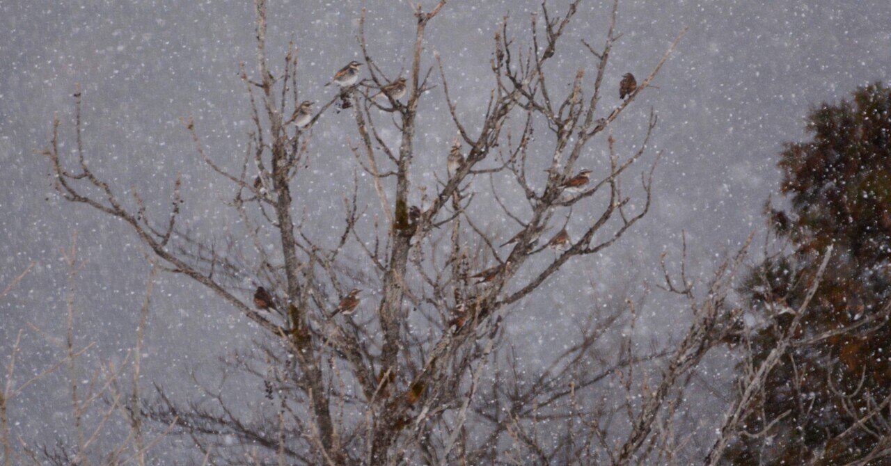 〜詩の時間〜｜sunao