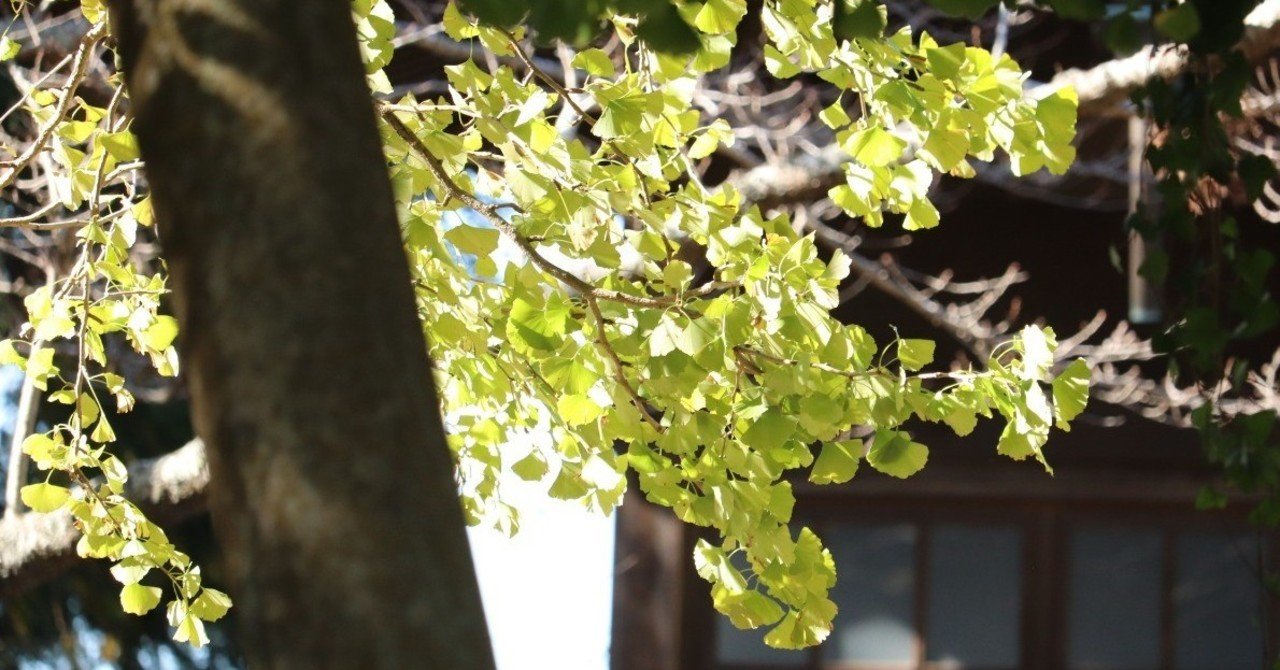 寂しさの絶頂｜Sosyu Kikuchi｜note