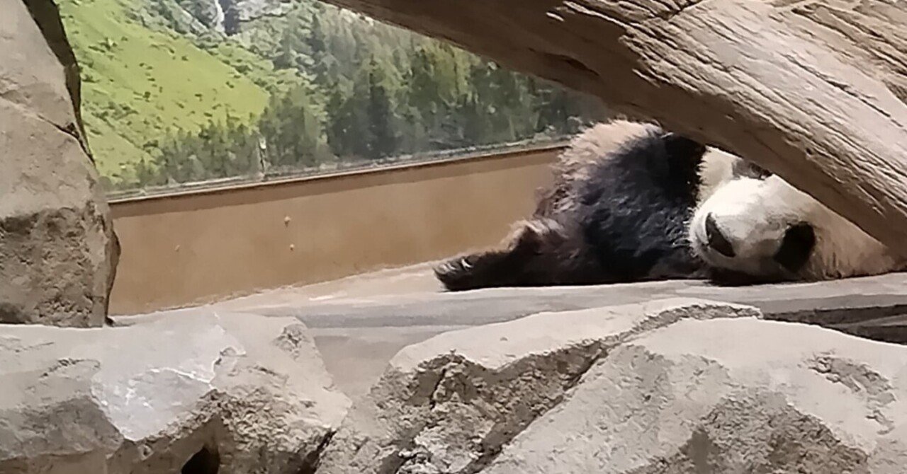 12月ライブスケジュール｜shintaro_hanada