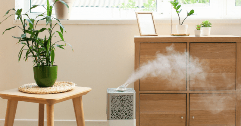 noteも書く占い師 Mako｜note