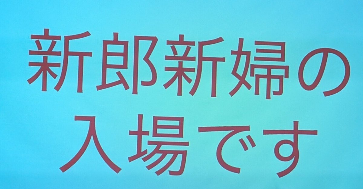 すてにゃんとあすみんとコミュニティと、通りすがりの僕｜dora_e_m