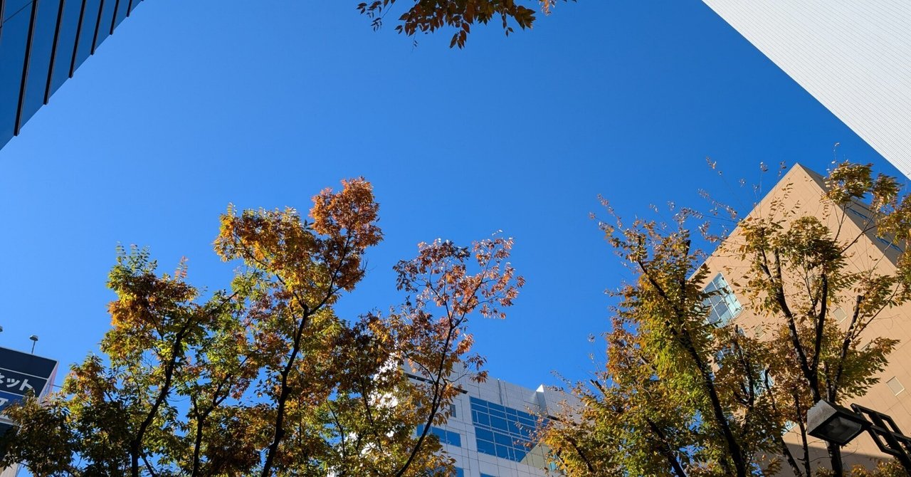 火曜日しばらく雑記帳・2024 CW48｜Shimamura, T. 島村徹郎