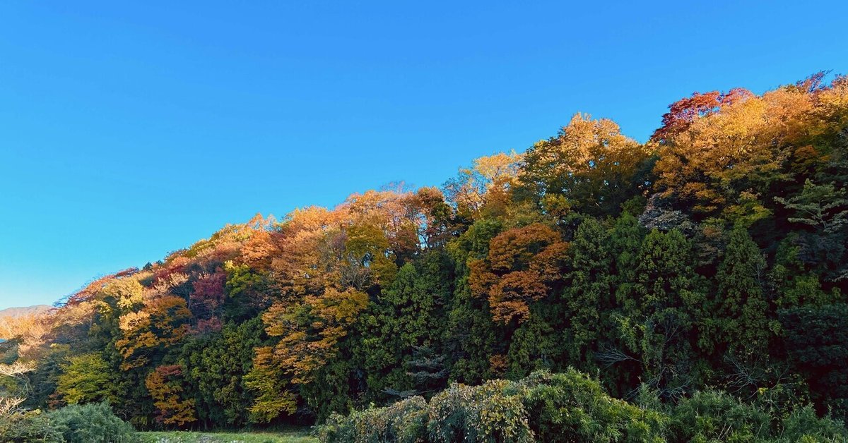 DAY 90 残り1ヶ月｜jucon110