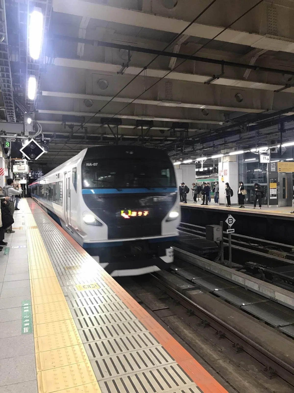 ゆったりとした時間が流れる、伊豆のホテル滞在の魅力（2024年11月、伊豆）｜ちろまき