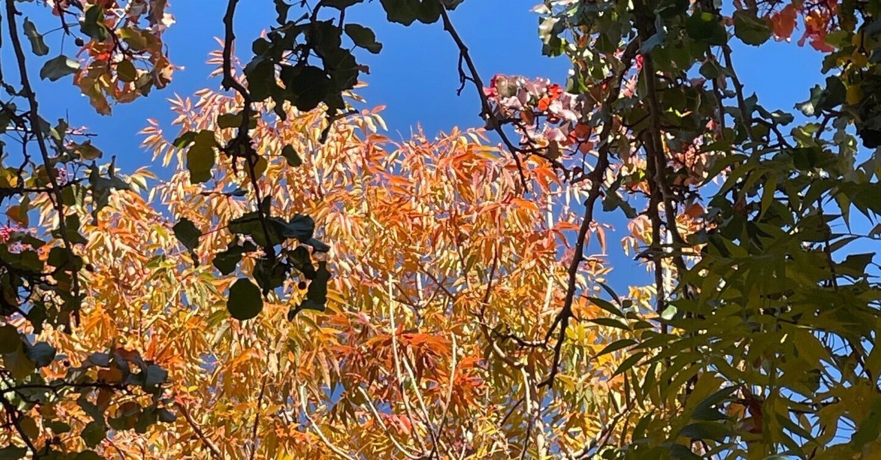 あなたの脳はとことん自分の都合で働いてくれますか？｜yasugo 超熱血ママ、辞めました！