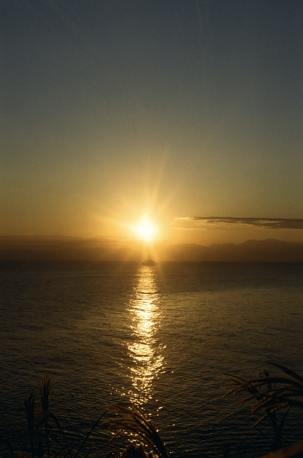 フィルムカメラで撮った江ノ島の夕陽｜Hiromu