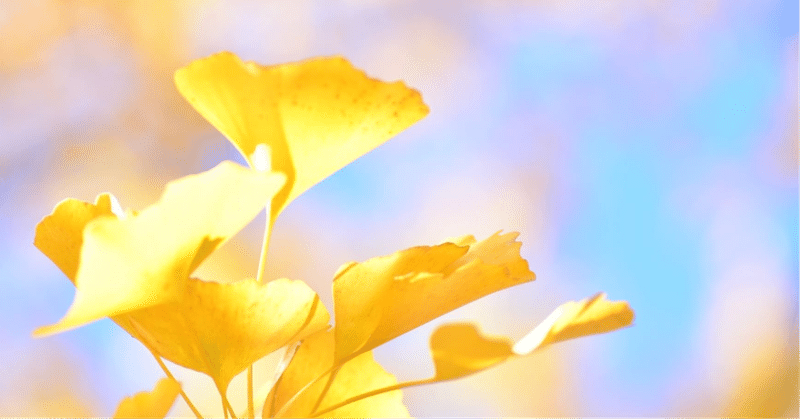 fundnote｜さんまのIPO | fundnote CIO 川合 直也｜note