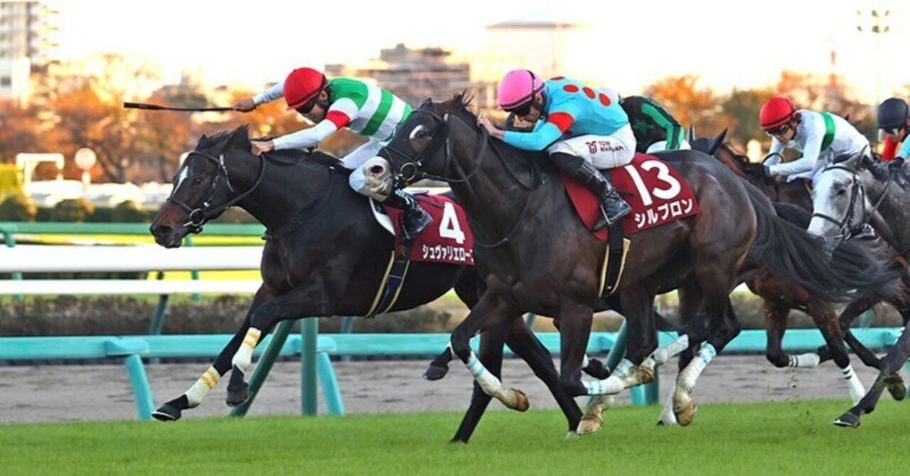 【ステイヤーズS（G2）回顧～その先へ】日刊コンピ篇｜Haya