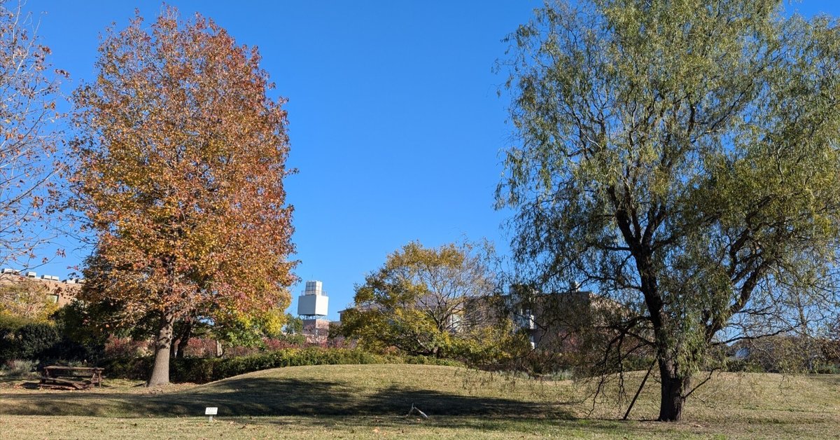 今年も残り1ヶ月｜大山豪太 Gota Oyama