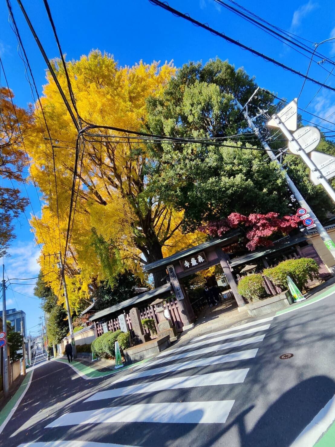 街が秋めいて、確実に冬に衣替えを進めている。｜CFP.はやぶさ【はやぶさFP事務所＠note支店】