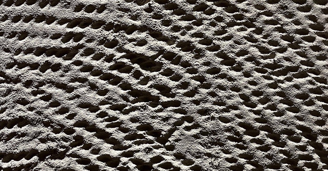 Jo-Mon-New-Mon[縄文入門]｜ken okai | 界隈創造舎