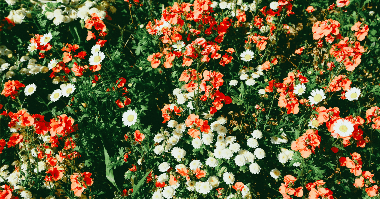 現実逃避が日課｜natsume.