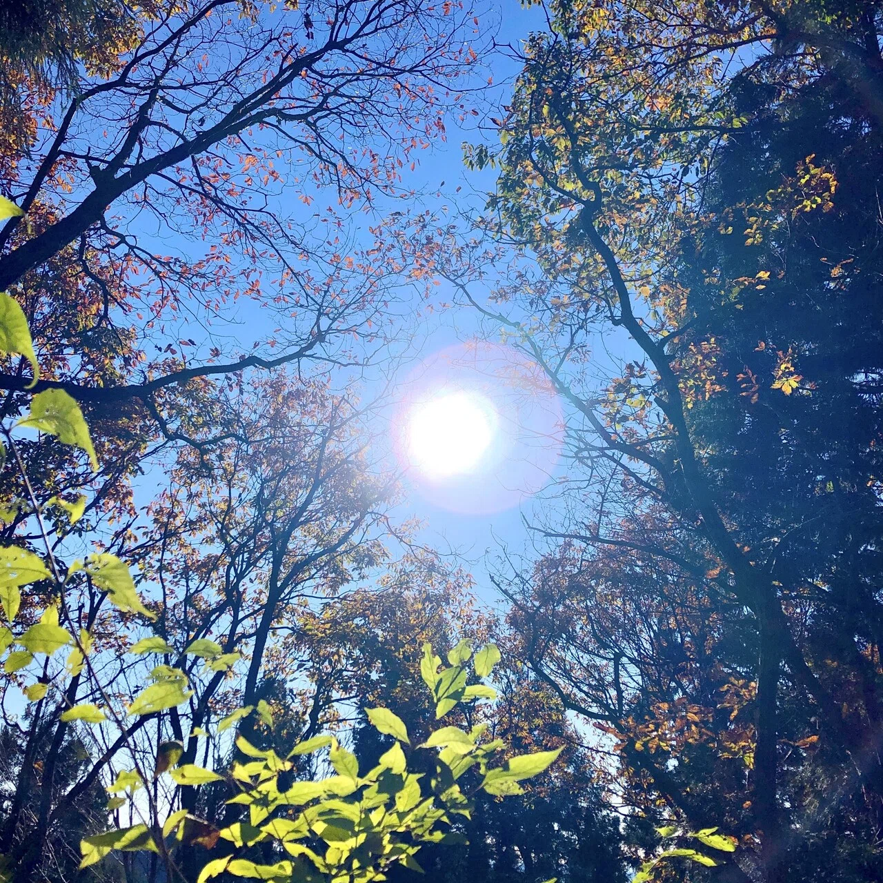 Proof Waiting for a miracle Whether or not you are aware You already are｜