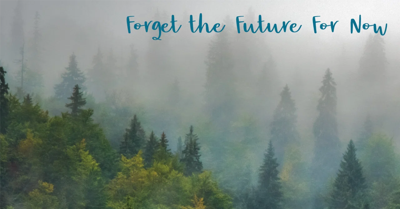 Forget the Future For Now｜Zenta Sato