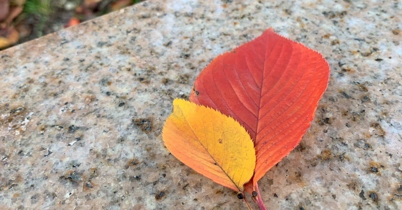 Three Good Things〜誕生日、ダンス、ジャイアン形式｜Mika Sudo