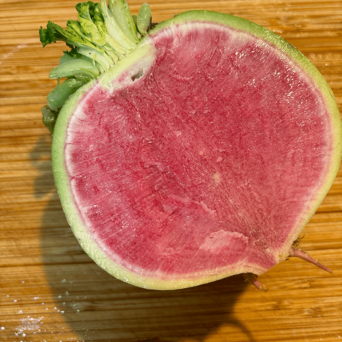 原初の打楽器｜Anzu Yamabe