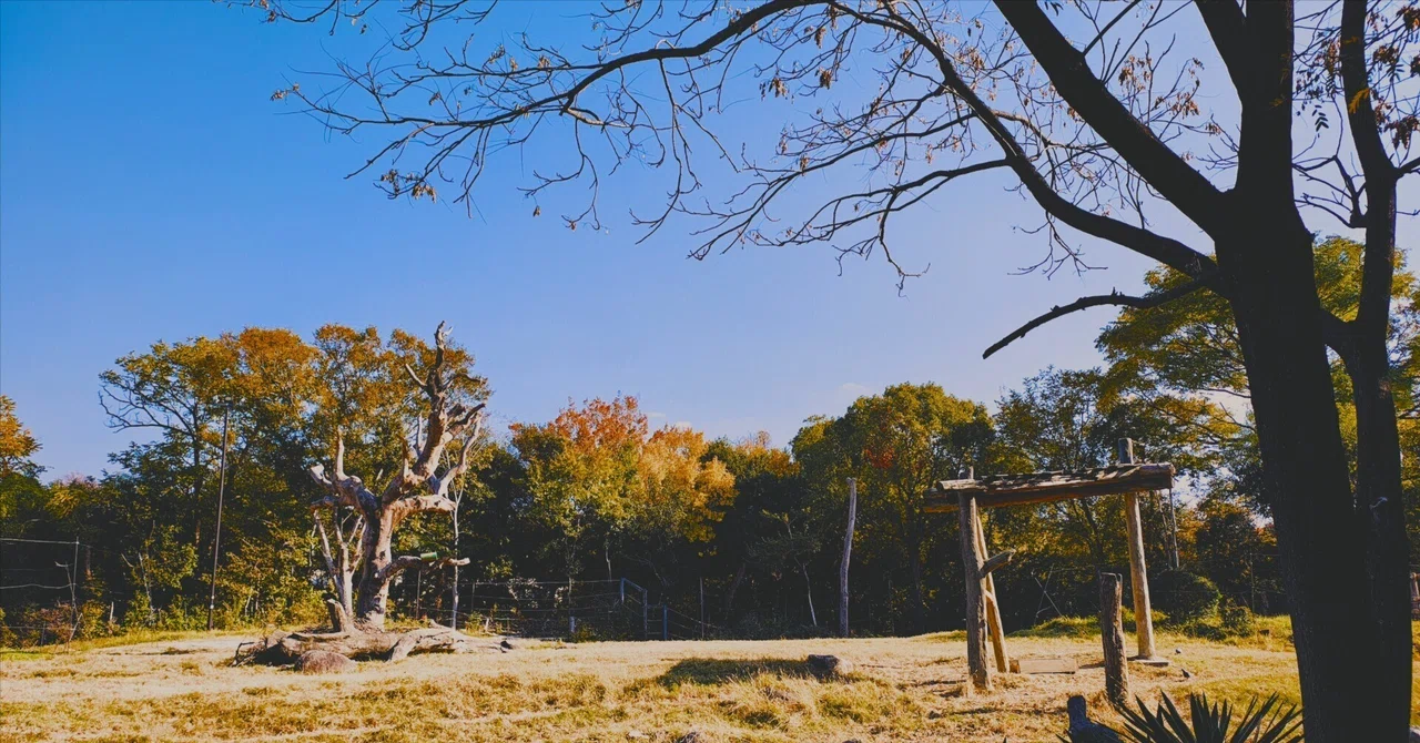 四季折々｜CALM.K