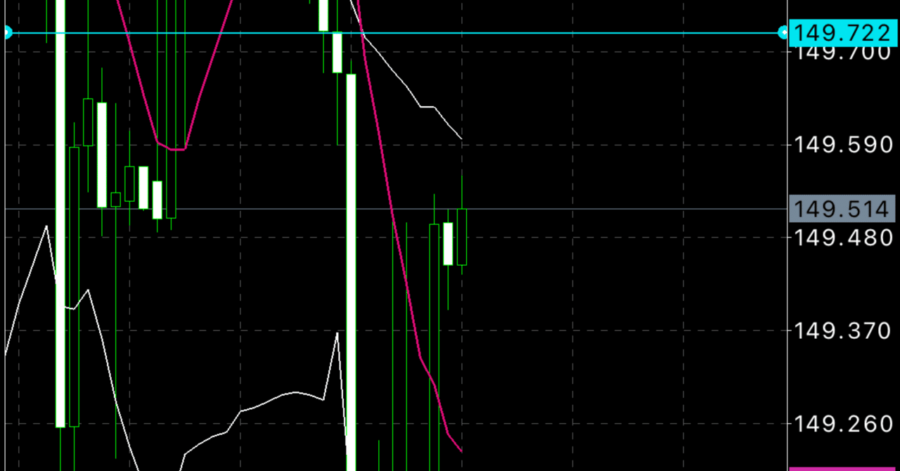 少額資金で始める！XMでのトレードの魅力 ｜SenFXママトレーダー