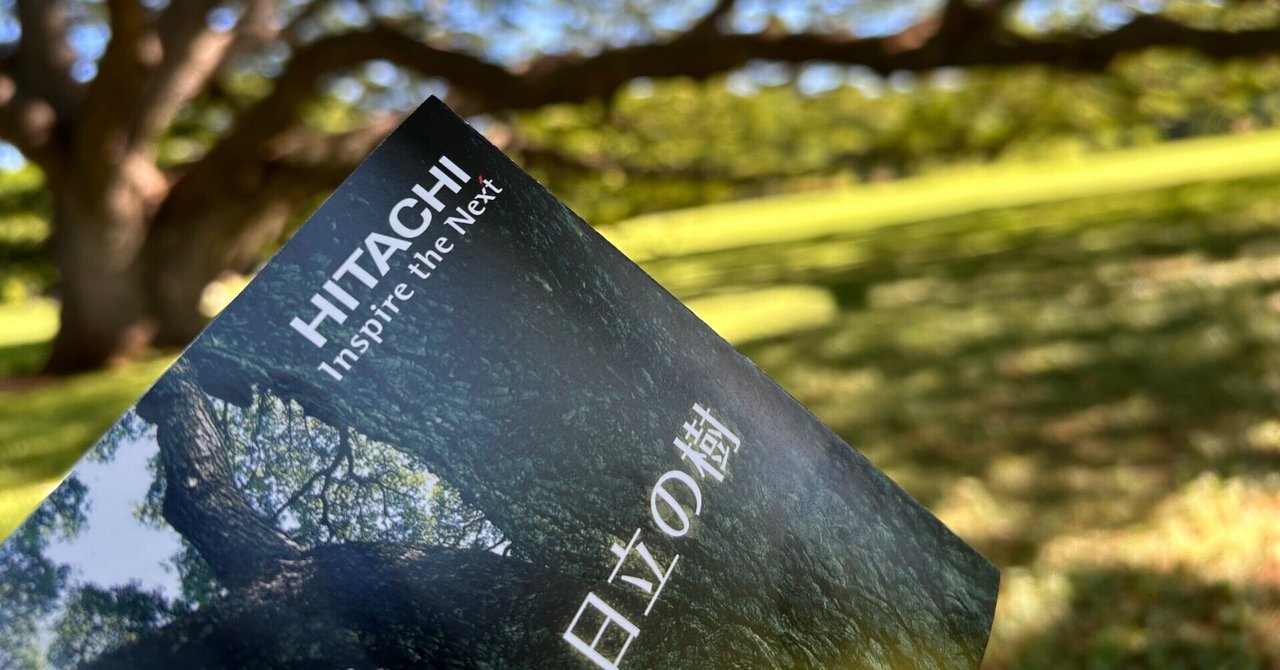 Hitachi Tree ｜masaru