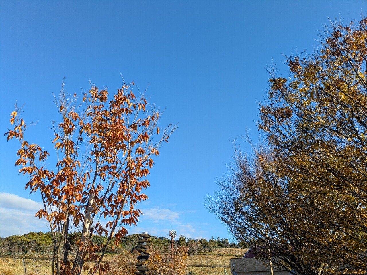 ①人生をつくっているのは、自分🥰 健康をつくるのも自分🥰 人生は自分ではつくれない 健康も自分ではつくれない ① あなたは、どちら？｜nanala