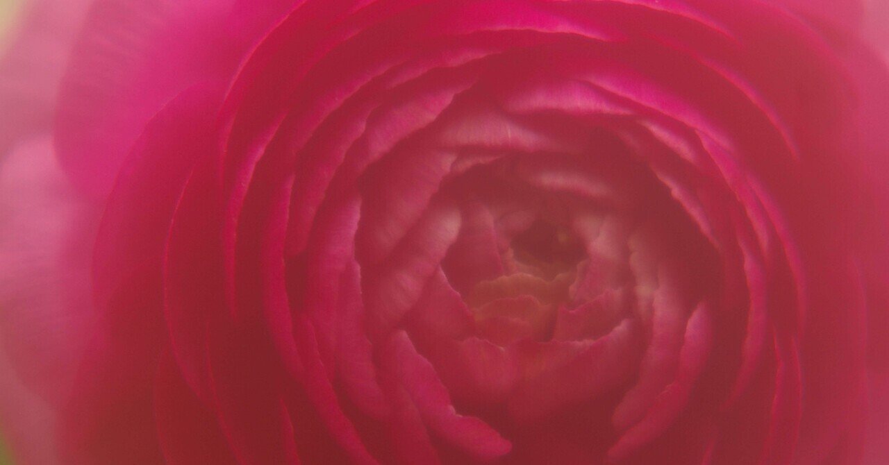 うまれてきてくれて、ありがとう」。・。・｜Cosmic Suzu