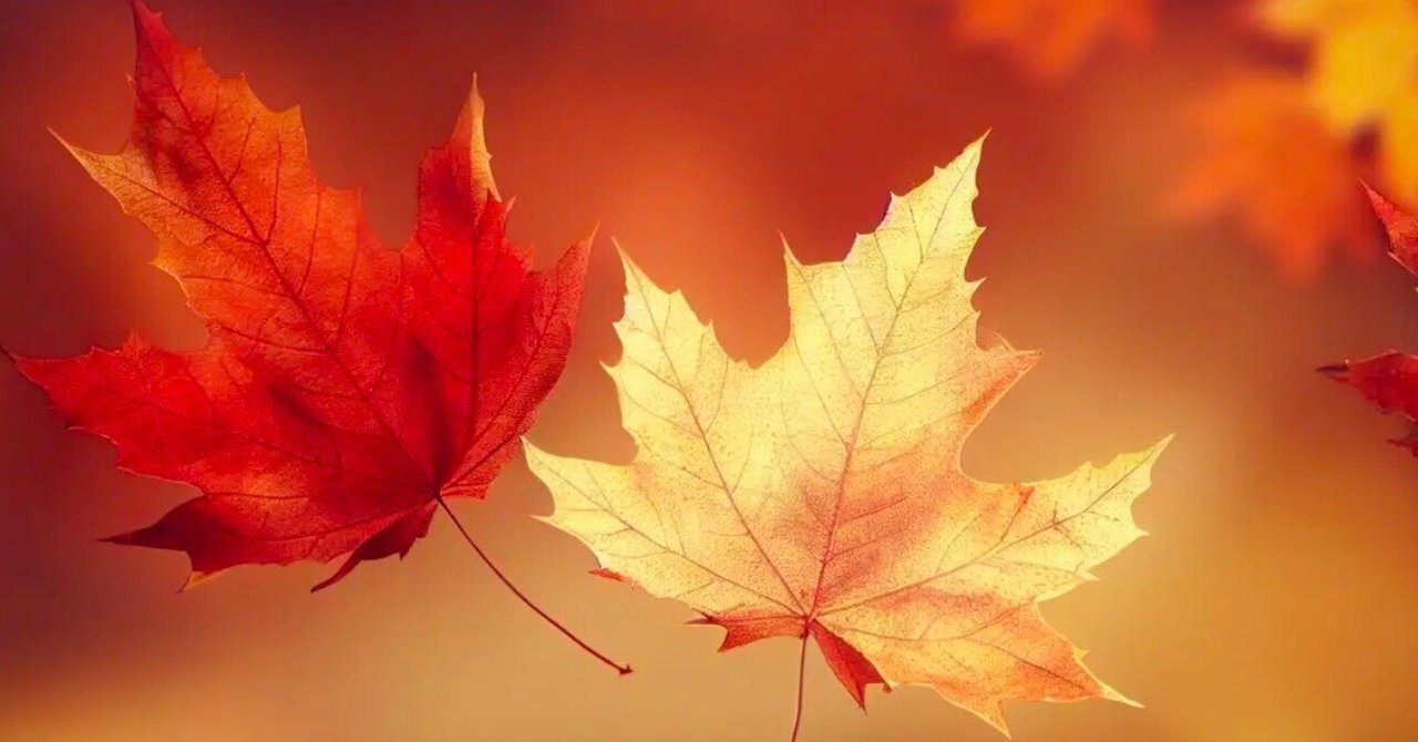 本当に秋は短くなったのか？｜Kosuke Inudo