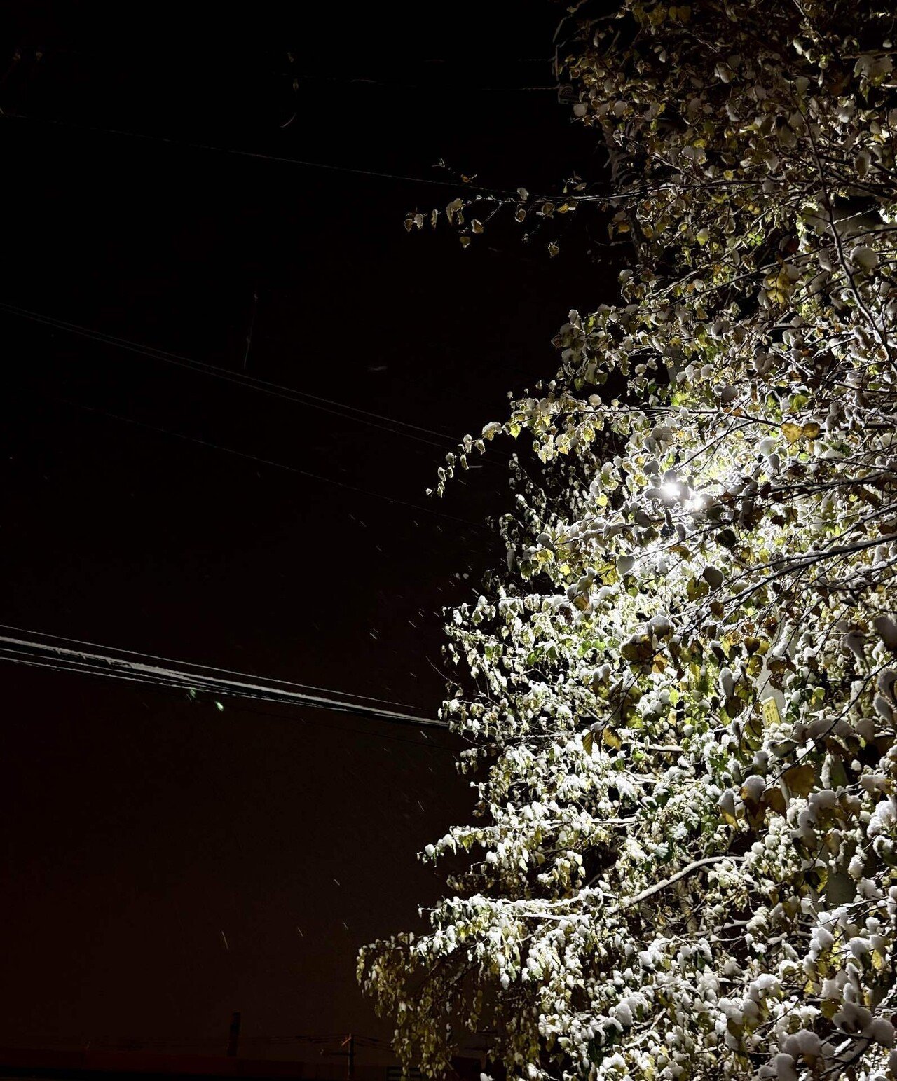 北海道石狩川にハマってます！🥾📸｜Lo-fi Yellow Funk創作所【note】