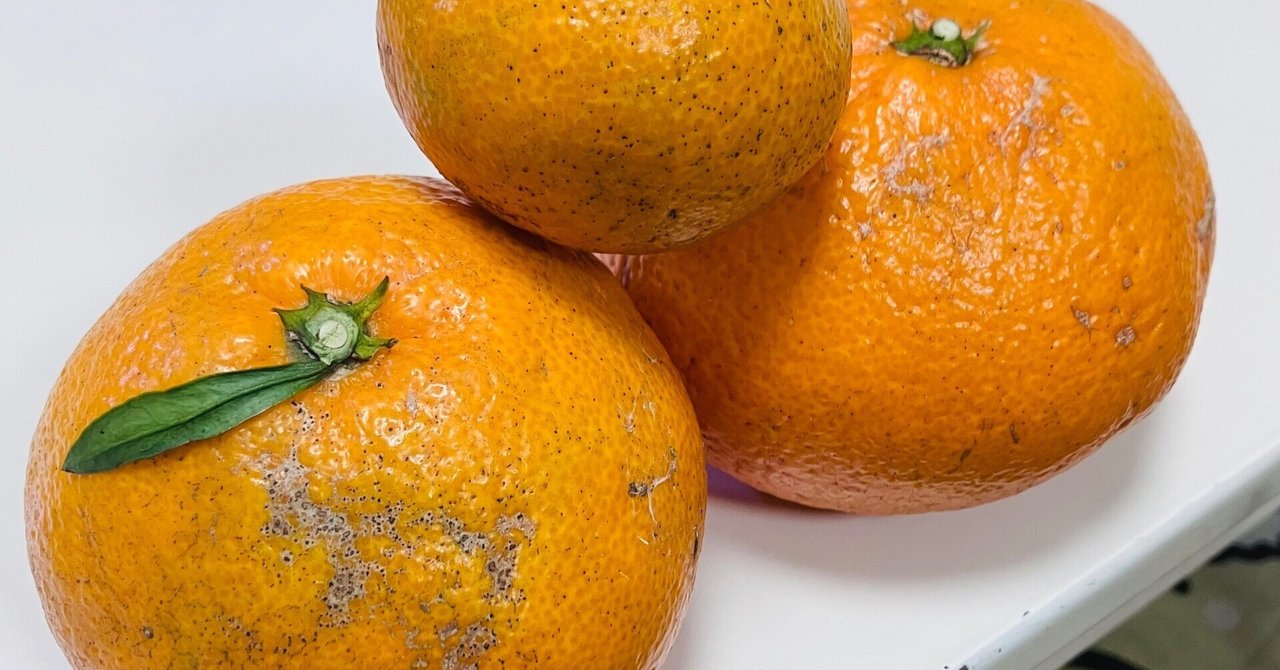 【日記】みかん｜ichi LABO