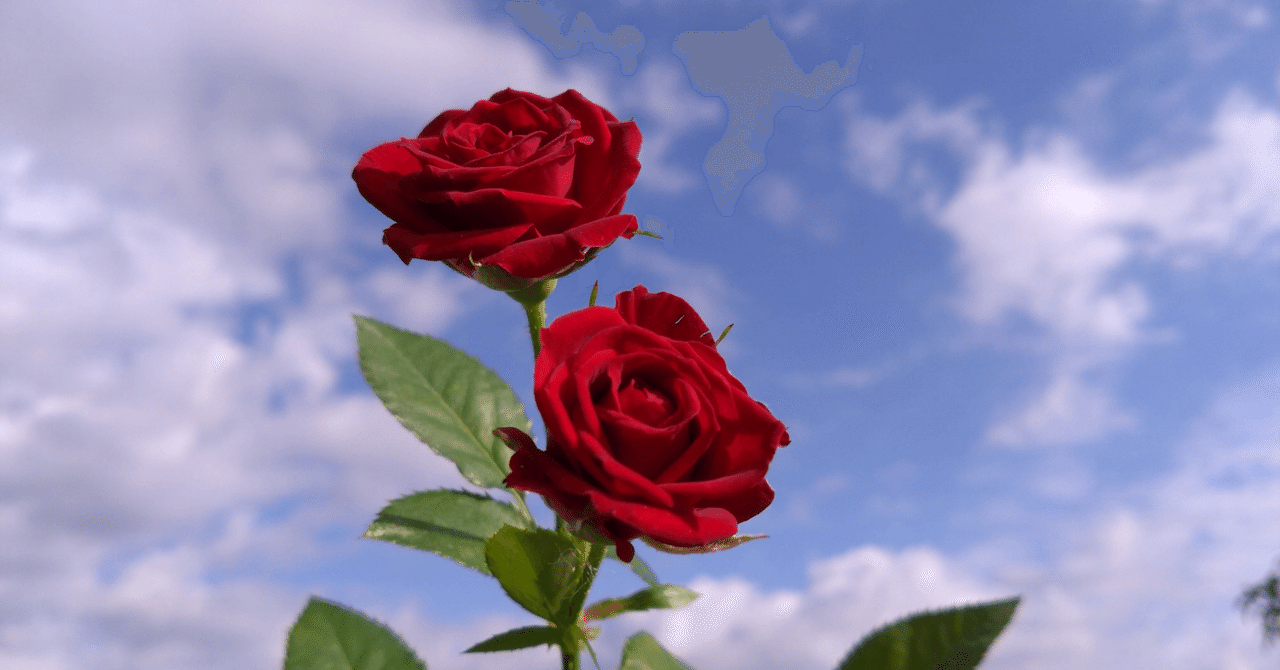 魔法のことば『ちょうどいい』｜junko.resta /卒業セミナージプシー