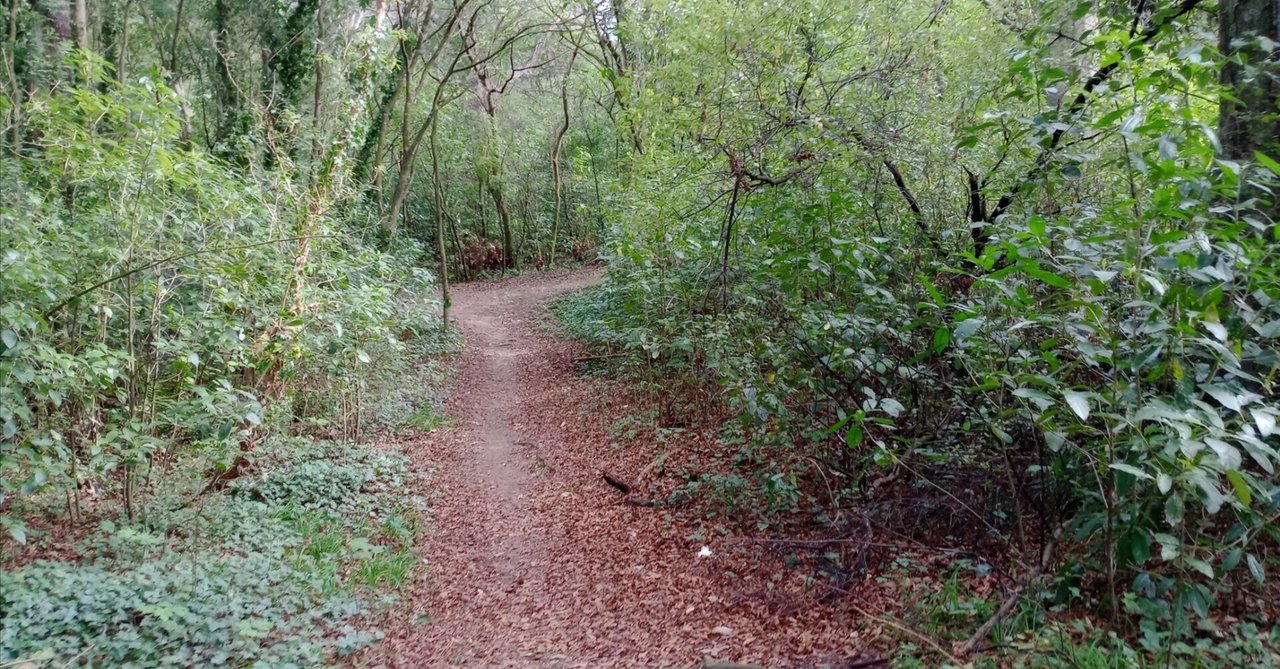 忘却された不安｜taduchi