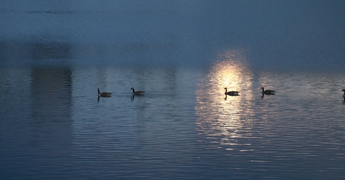 自己紹介｜はじめてのnote｜mio