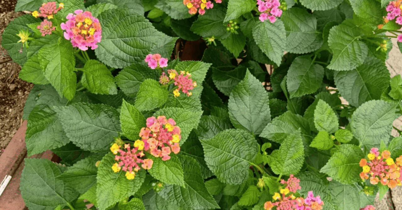 Linux で at コマンドを使用してタスクをスケジュールする方法｜blue06_2022