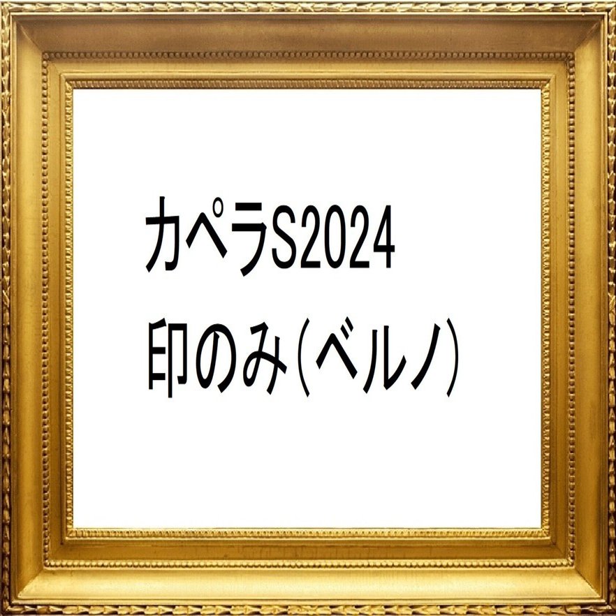 カペラS2024・印のみ（ベルノ）｜ベルノ競馬予想note